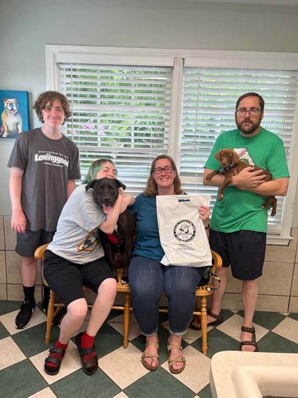 Wanda - Scarlet Witch - The Marvel Pups - Adopted 07/15/2023 - Labrador ...